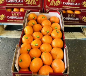 蜜桔 Orri Mandarin 4个 4x 大号【水果】 – ClapSquare